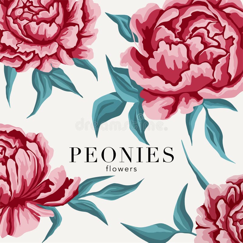 Postcard Floral Floristry Peony Flower Vector Stock Vector ...