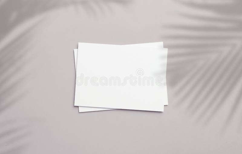 Postcard Mockup Blank Paper Template with Overlay Palm Shadow on a ...