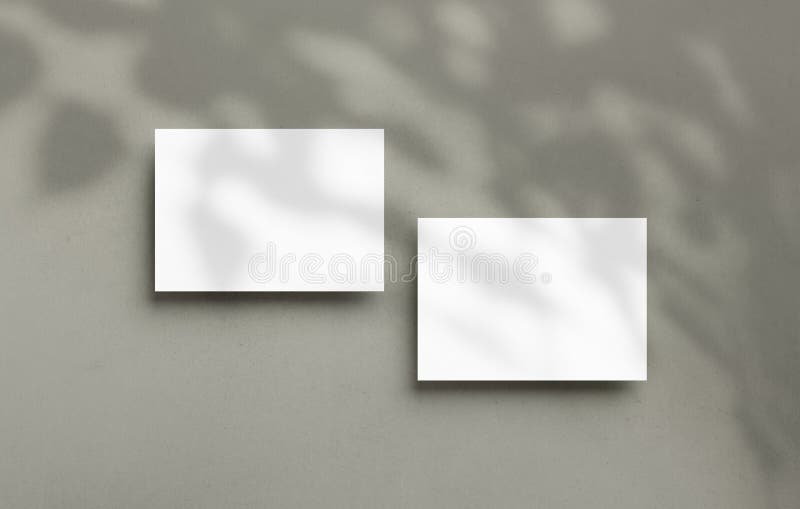 Wedding Invitation Blank Double Sided Stock Photos - Free & Royalty ...