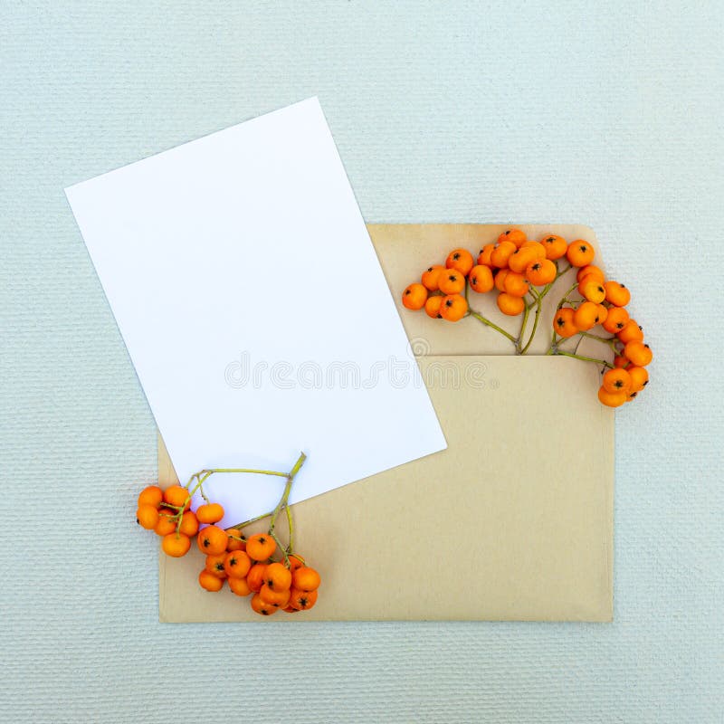 Postcard with Orange Rowan Lights in an Envelope Stock Image - Image of ...