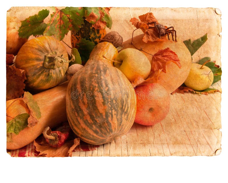 Postcard with pumpkin stock photo. Image of card, pattern - 33590476