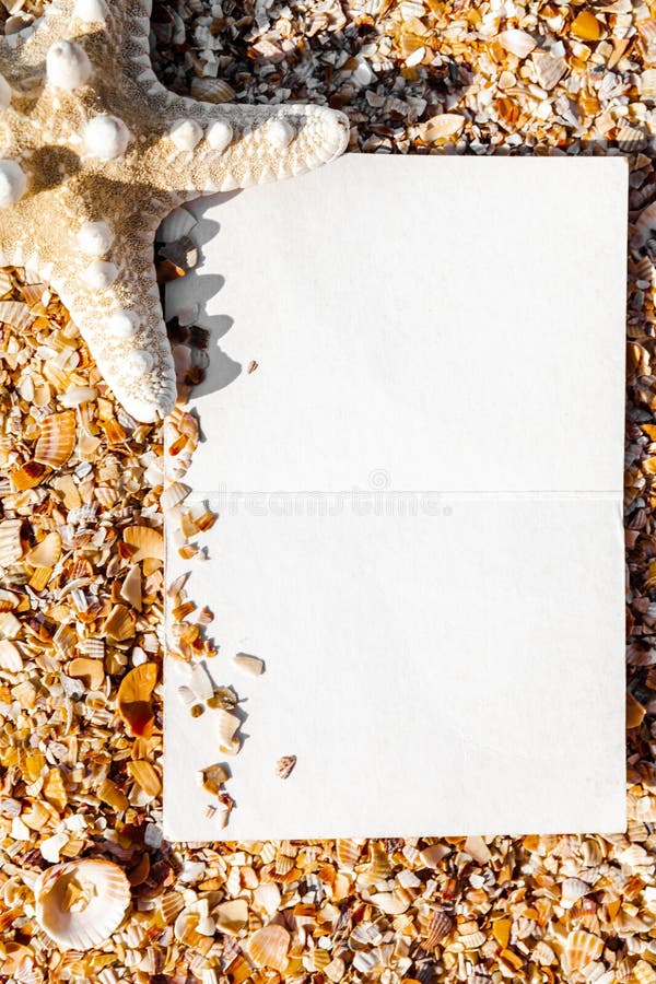 Postcard in Sea Shells Frame Stock Image - Image of frame, vintage ...