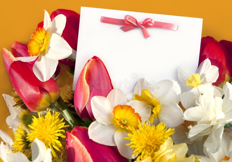 Postcard and Spring Flowers Stock Photo - Image of celebration, blossom ...