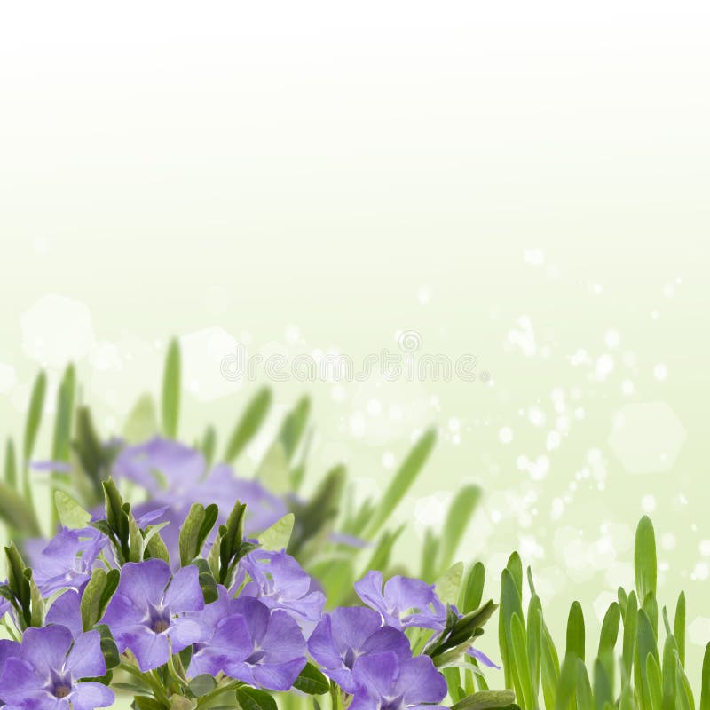 Postcard with Spring Flowers and Empty Place for Your Text Stock Photo ...