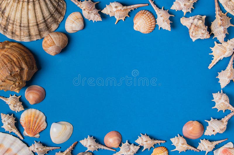 Postcard Template from the Seashore, Blue Background in a Frame of Sea ...