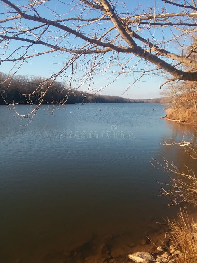 Posted lake side stock photo. Image of side, lake, looking - 138595502