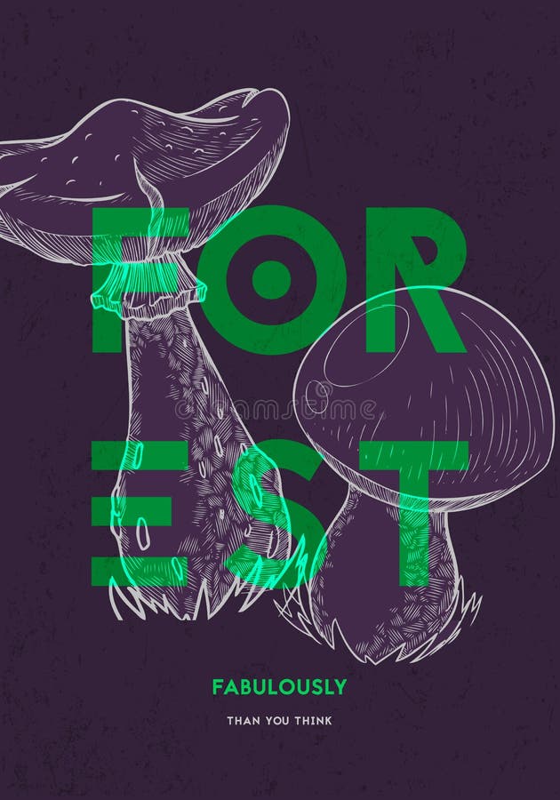Poster Design Template. Forest Mushrooms Stock Vector - Illustration of ...