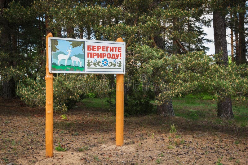 A Poster in a Forest `preserve the Nature!` Stock Image - Image of ...