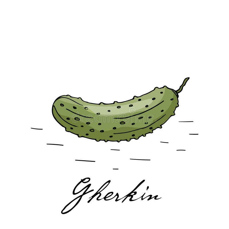 Gherkin stock vector. Illustration of cartoon, gherkin - 5781480
