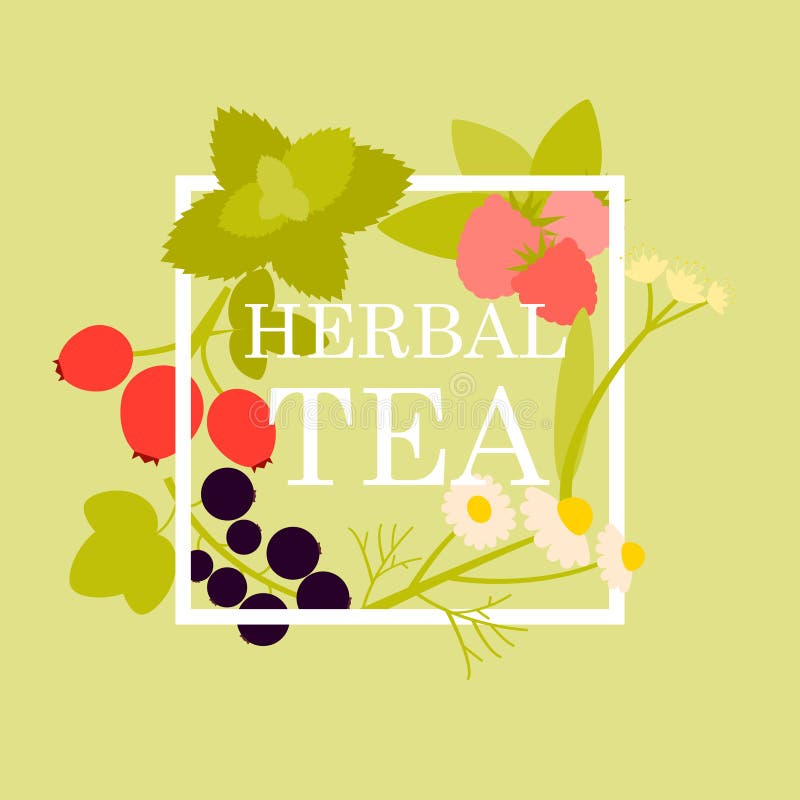 Poster herbal tea stock vector. Illustration of flat - 73345761