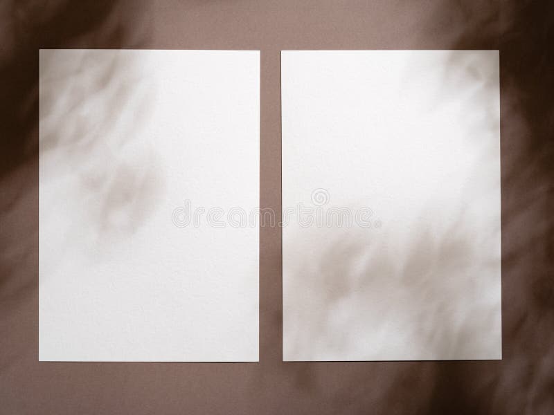 Universal Template with Foliage Shadow. Stock Image - Image of design ...