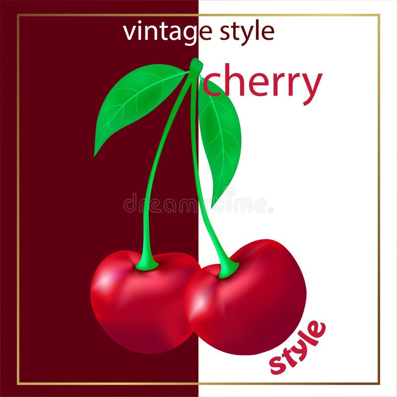 Elegant Beautiful Banner with Realistic Cherry Vector Illustration ...