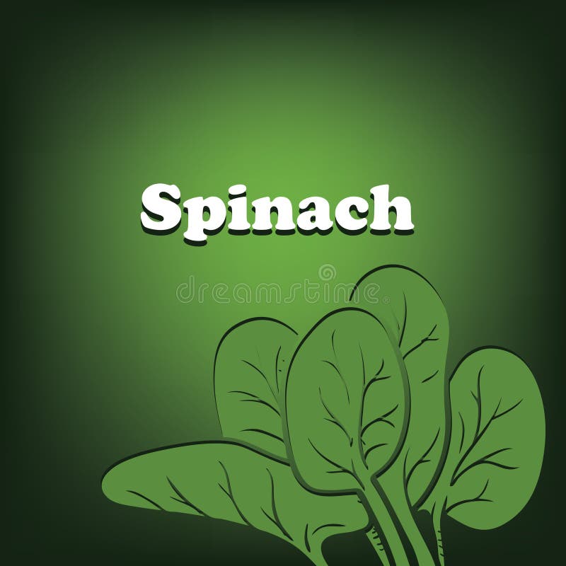 Poster Spinach stock vector. Illustration of green, cartoon - 322944090