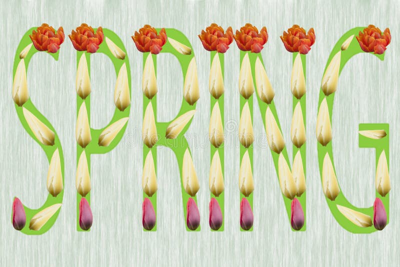 The Poster Spring from Tulips. Stock Illustration - Illustration of ...