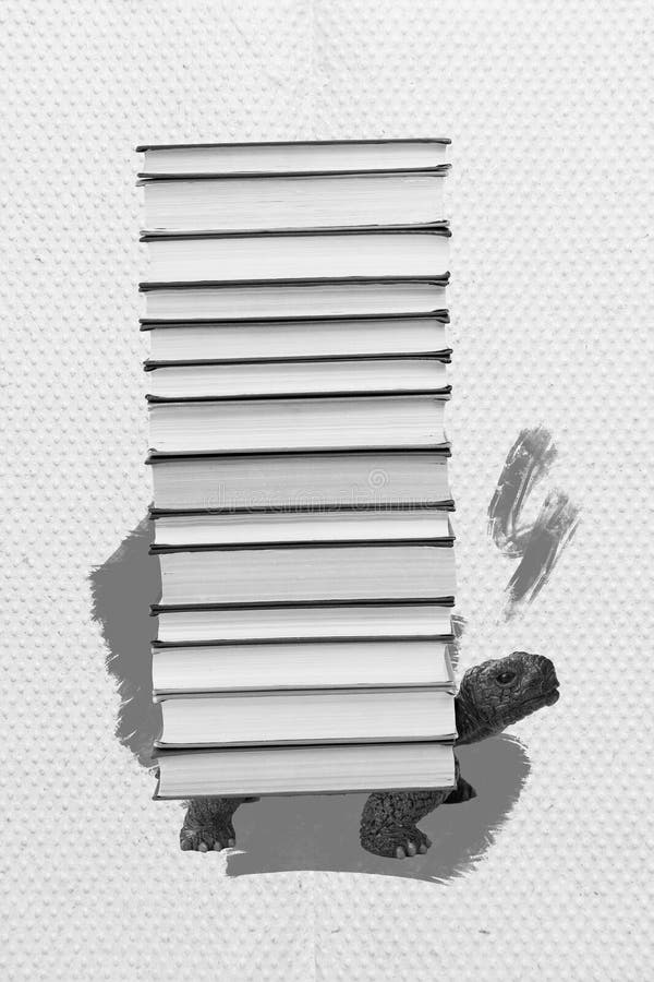 Turtle Stack Clip Art Stock Photos - Free & Royalty-Free Stock Photos ...