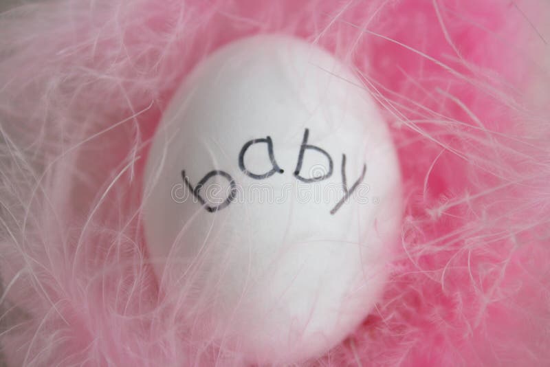 Posterity. stock photo. Image of feather, hope, family - 6961226