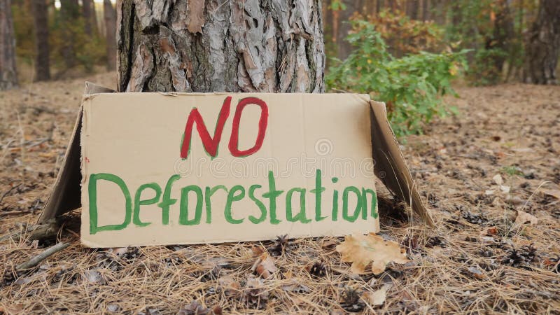 Posters with Messages Left by Activists in the Forest Stock Video ...