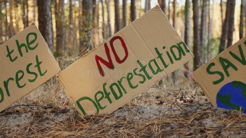 Posters with Messages Left by Activists in the Forest Stock Video ...
