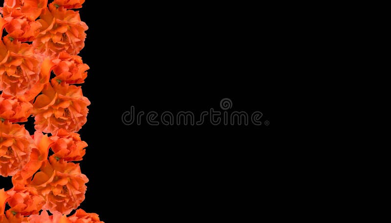 Postkarte Oder Einladung Zum Tode Einer Beerdigung. Mit Blumen Auf ...