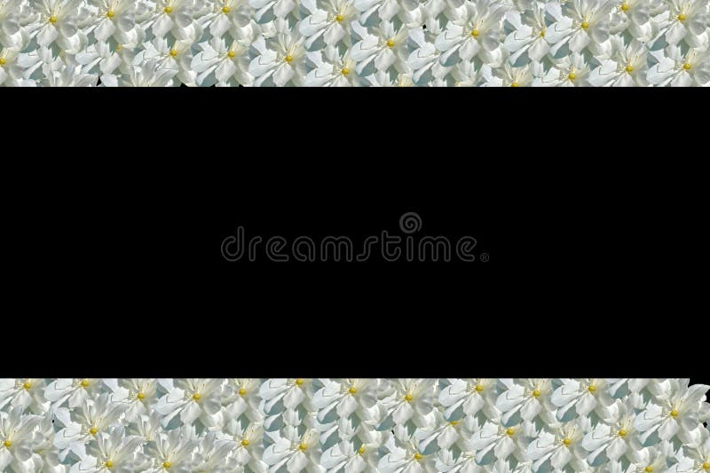 Postkarte Oder Einladung Zum Tode Einer Beerdigung. Mit Blumen Auf ...