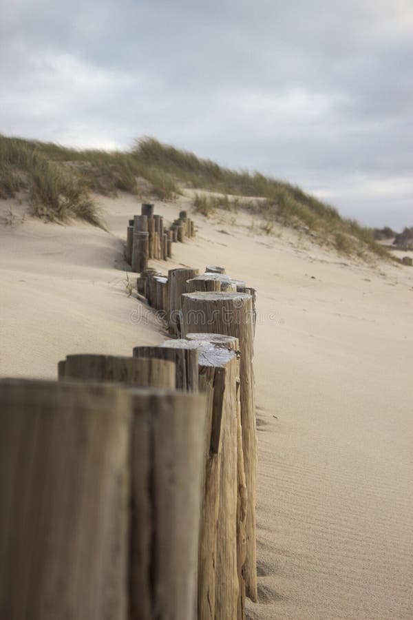 Posts on beach stock image. Image of line, defence, beach - 50757849