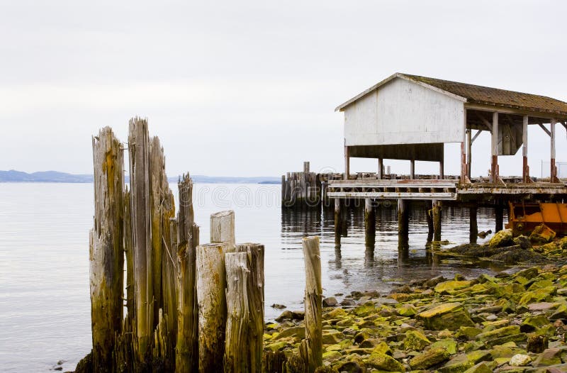 Old dock by the sea stock photo. Image of rugged, remnants - 40093394