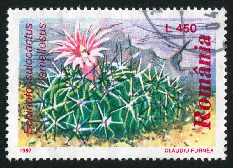 Poststamp Cacti editorial photography. Image of botanical - 154217412