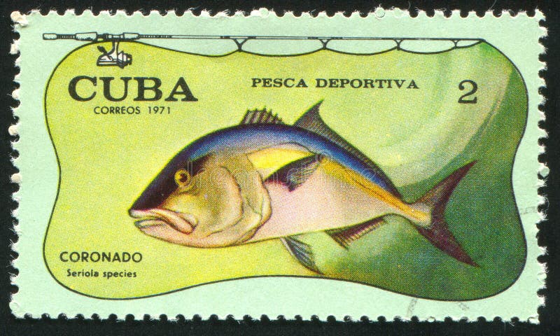 Poststamp fish editorial photo. Image of graphic, postcard - 180613211