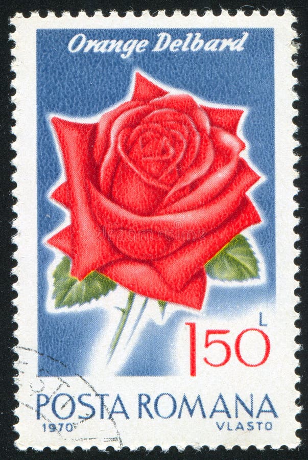 Poststamp Rose editorial stock photo. Image of beautiful - 154216888