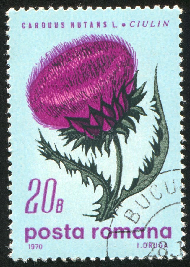Poststamp Thistle editorial photography. Image of aged - 144846827