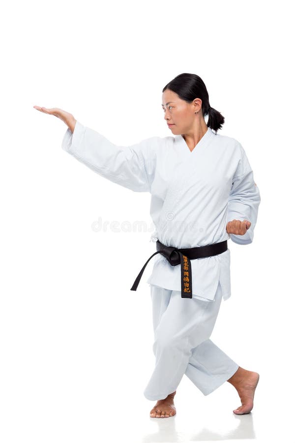 Karate position stock photo. Image of posture, adult - 40218686