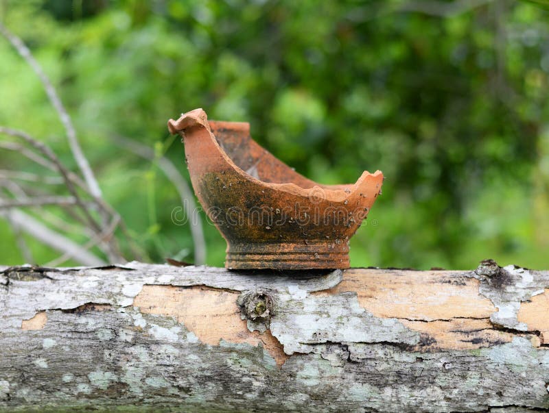 Pot baked clay broken stock image. Image of green, black - 59201267