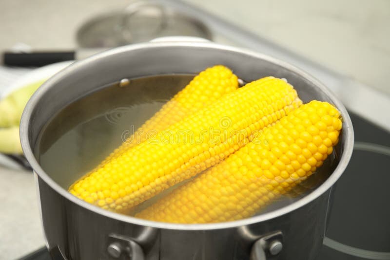 Pot with Boiling Corn on Cooktop Stock Photo - Image of corncob ...