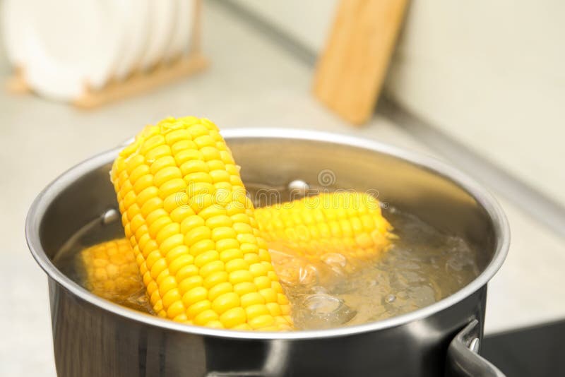 Pot with Boiling Corn in Kitchen Stock Photo - Image of dish, corncob ...