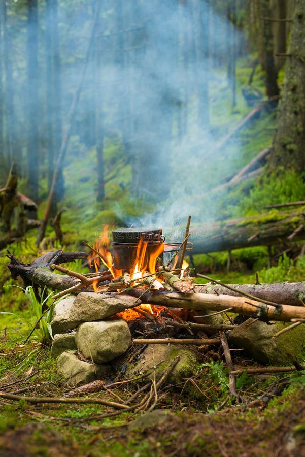 Pot Bonfire Camp Coniferous Forest Stock Photos - Free & Royalty-Free ...