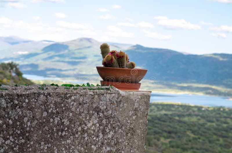 A Pot with Cactus on a Stone Wall, in the Background a Landscape of ...