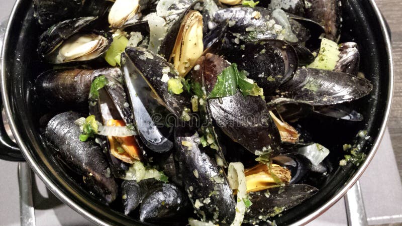 Pot of cooked mussels stock photo. Image of cooking - 112692178