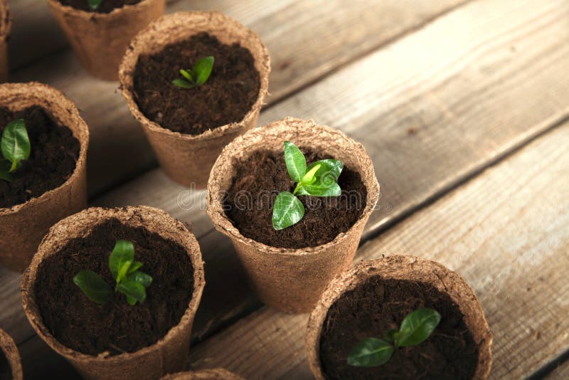 Pot stock image. Image of development, environmental - 114065185