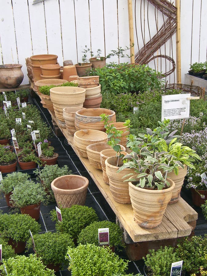 POT Di Fiore Dell'argilla 1 Fotografia Stock - Immagine di rosso ...