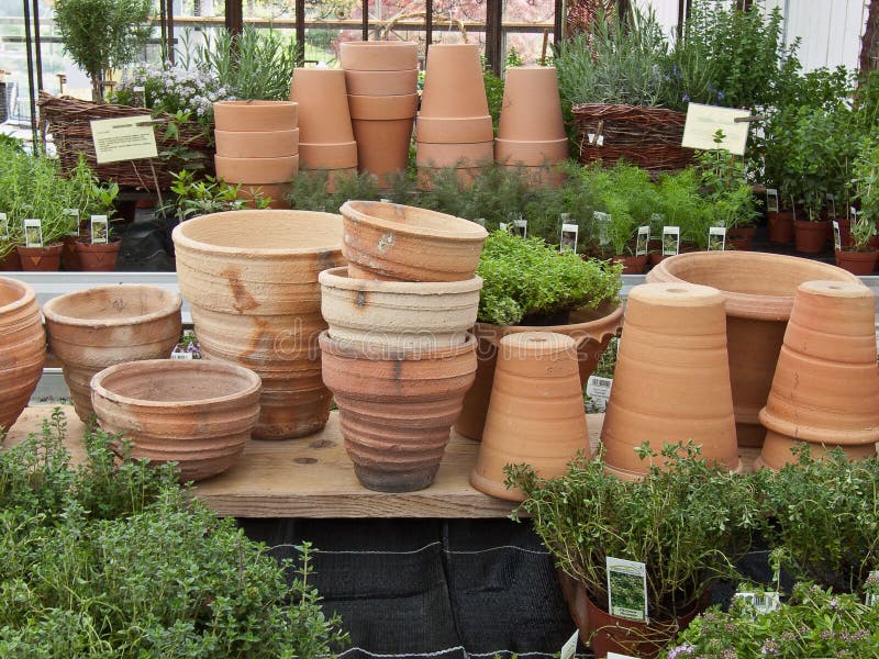 POT Di Fiore Dell'argilla 2 Fotografia Stock - Immagine di verde ...