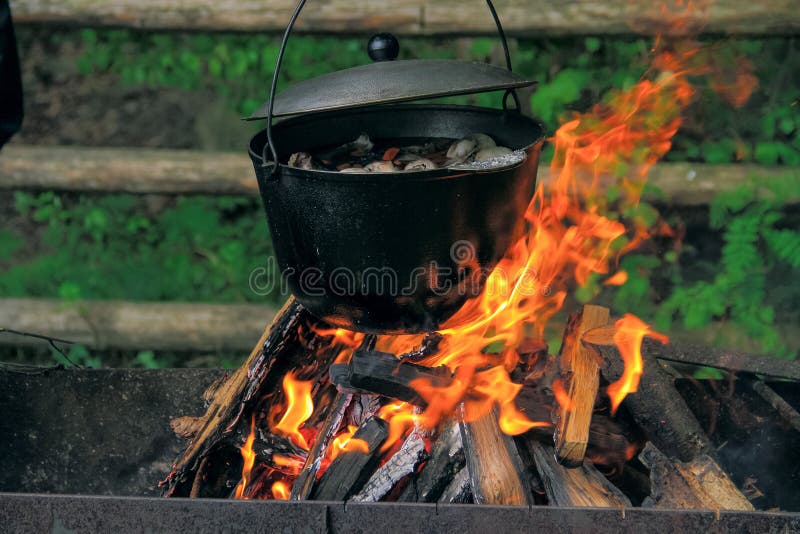 The Pot on the Fire with Mushrooms in the Forest Stock Image - Image of ...