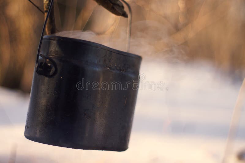 A Pot in the Fire, Water is Heated in the Winter Forest Stock Photo ...