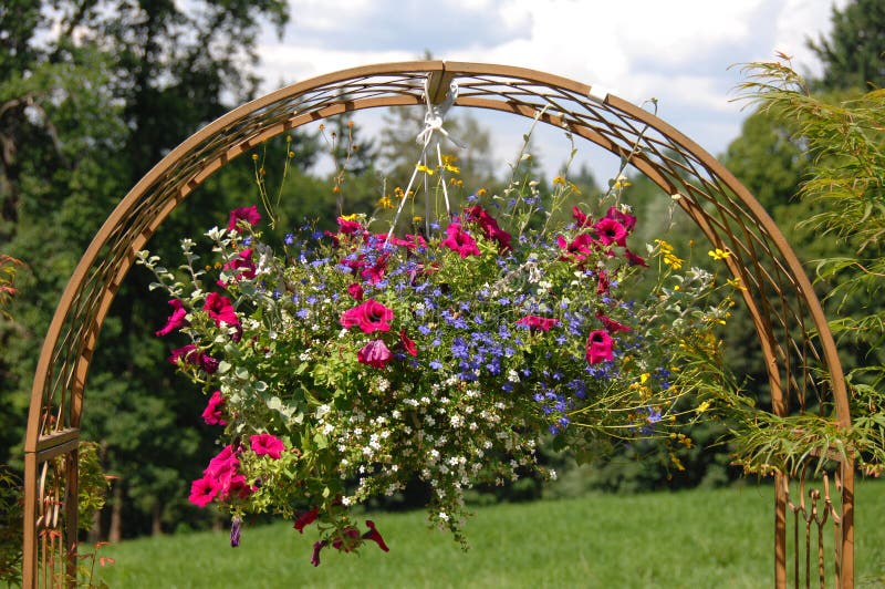 Pot flower stock image. Image of flower, florist, garden - 2941533