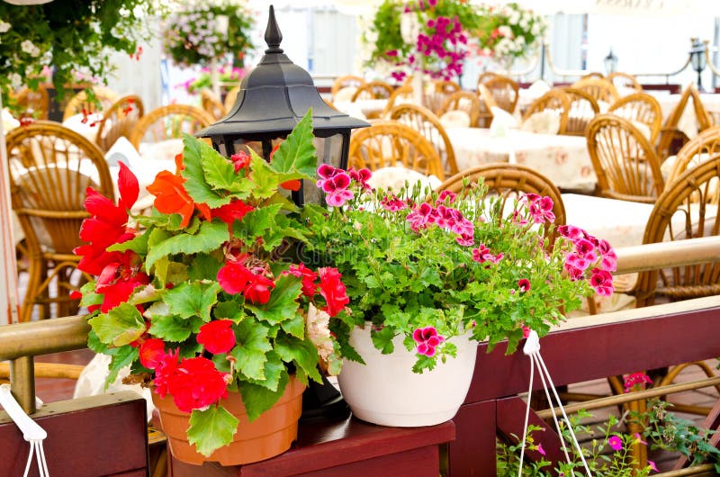 Pot of flowers stock photo. Image of flower, lantern - 35970266