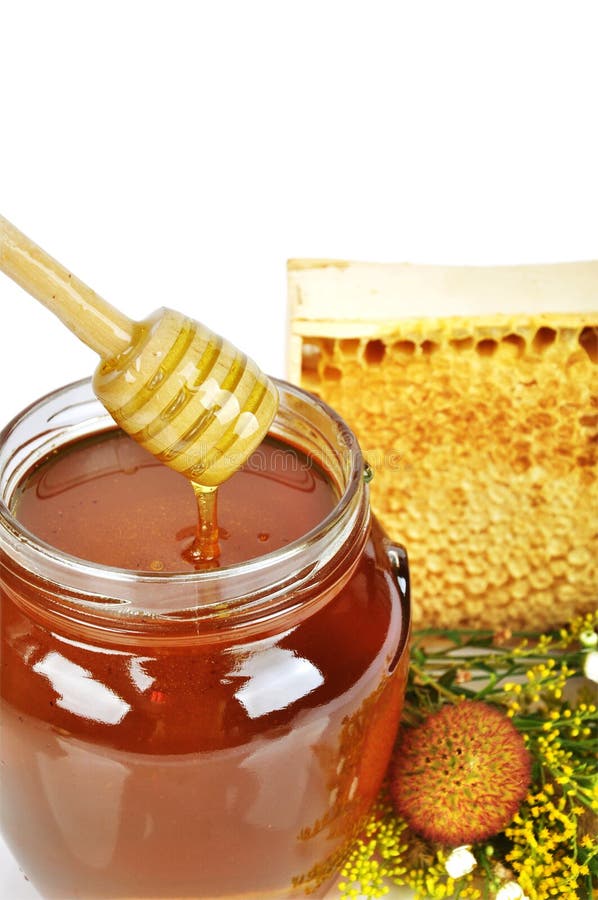 Pot of honey stock photo. Image of border, product, chamomile - 26253676