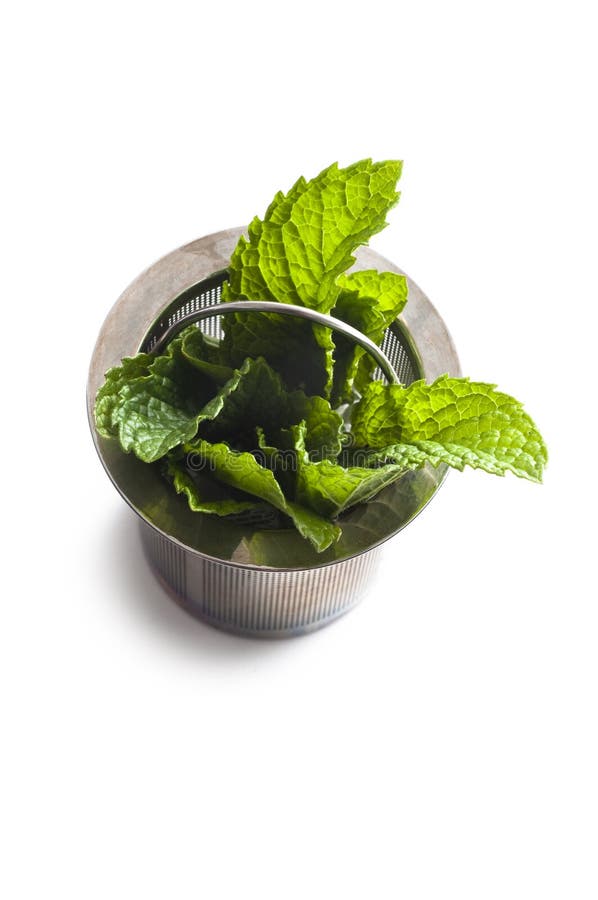 A pot of mint tea stock image. Image of green, space - 11350863