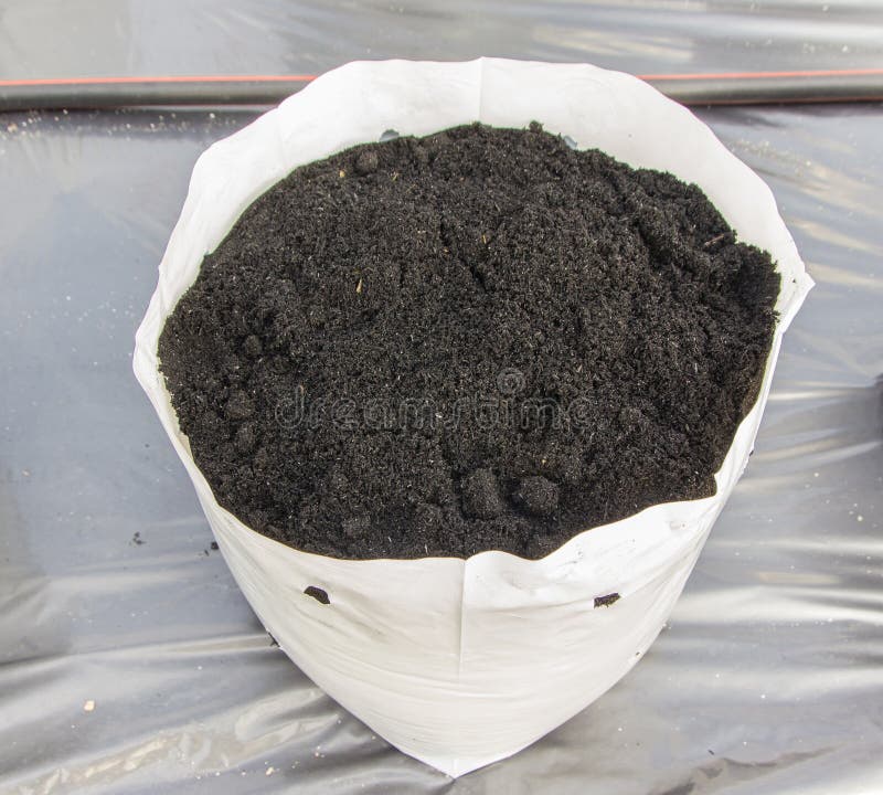 Pot paper white stock photo. Image of floral, nature - 90384874