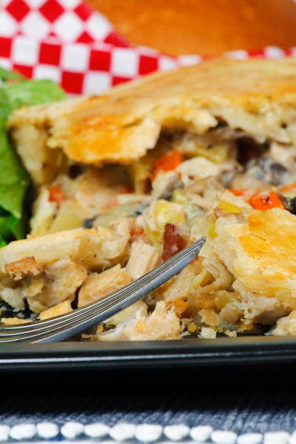 Pot-Pie del pollo immagine stock. Immagine di casseruola - 23356959
