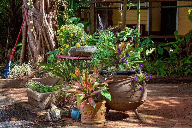 Pot Plant Collection stock image. Image of house, food - 196561137