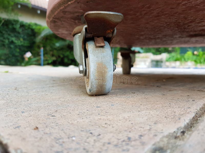 Pot plant wheels stock photo. Image of small, wheels - 163313074